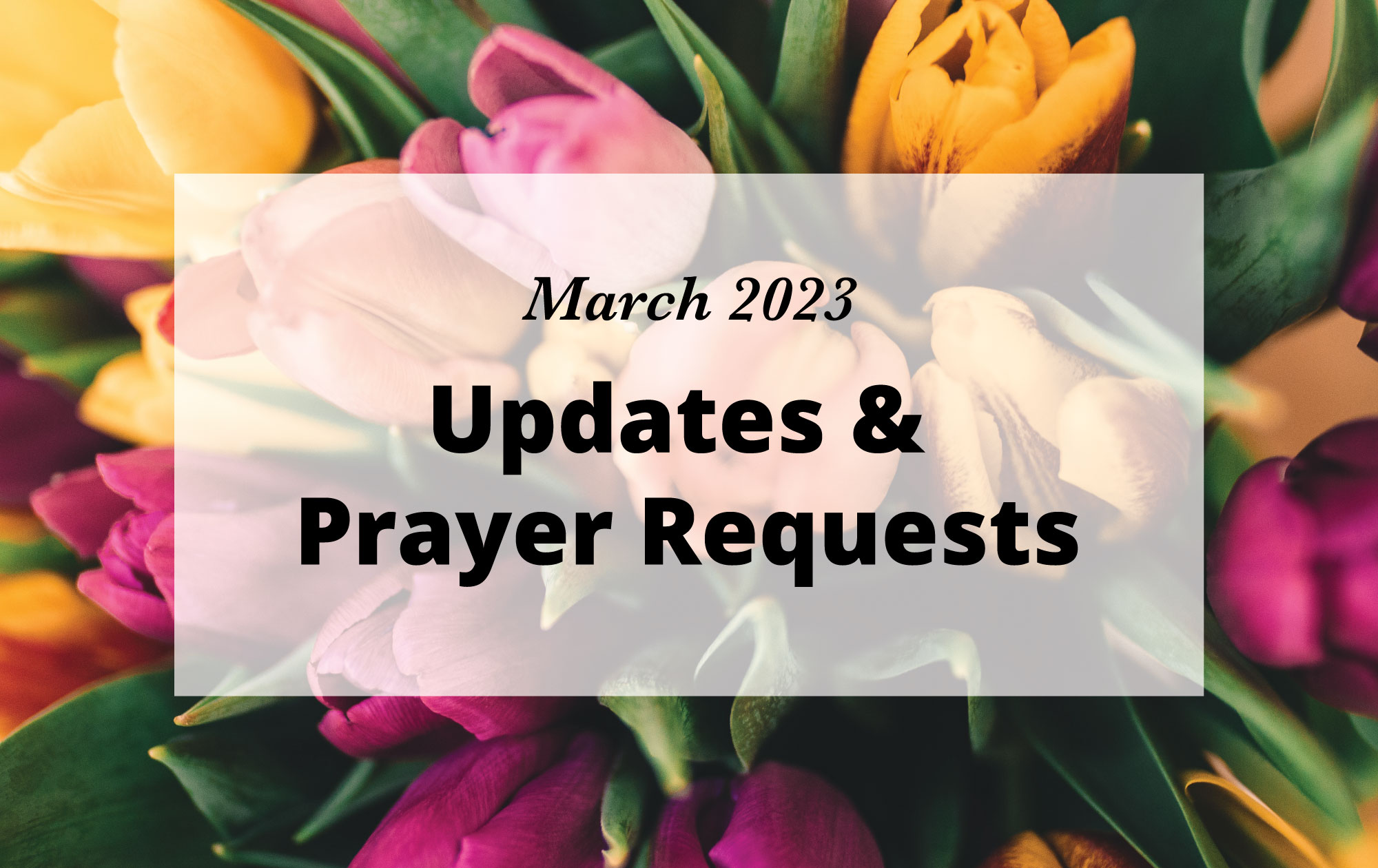 March 2023 Update – The Journey Home
